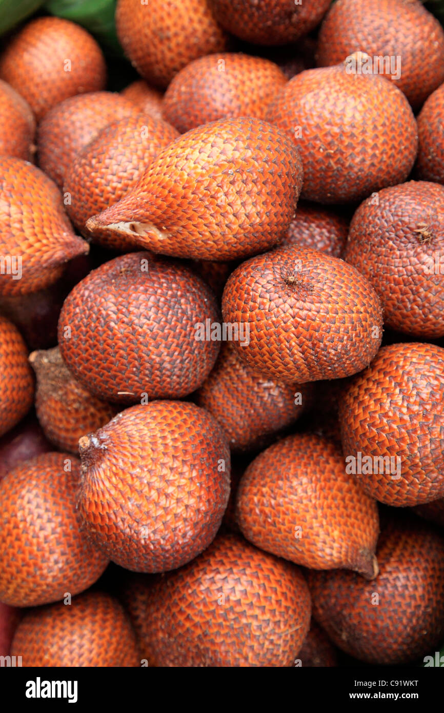Salak Salacca zalacca is a species of palm tree native to Indonesia ...