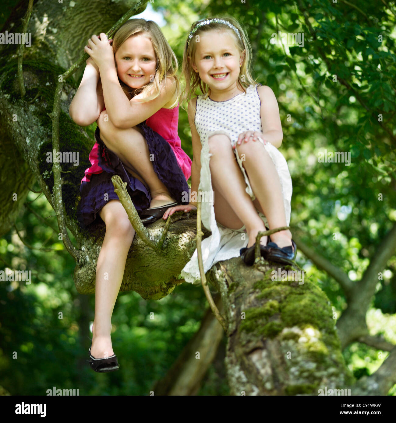 Smiling girls sitting in tree Stock Photo - Alamy