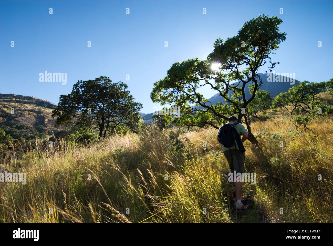 Views south into southern Malawi Mozambique from the Lichenya Plateau ...