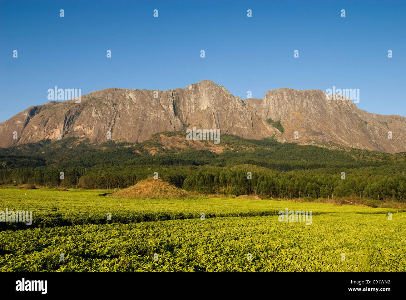 Mulanje mountain hi-res stock photography and images - Alamy