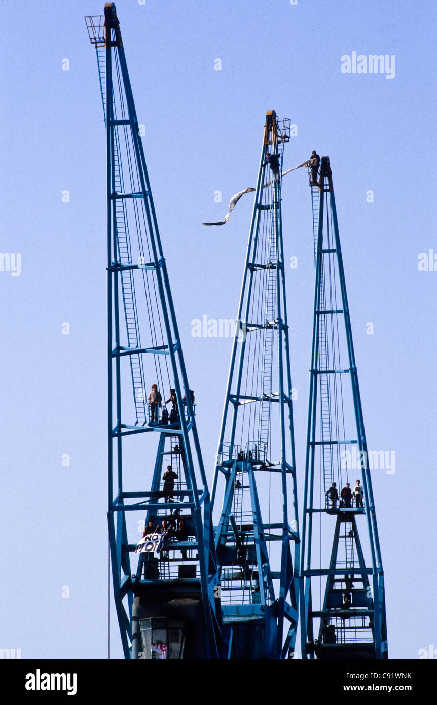 Earth First environmental protest against the importation of tropical ...