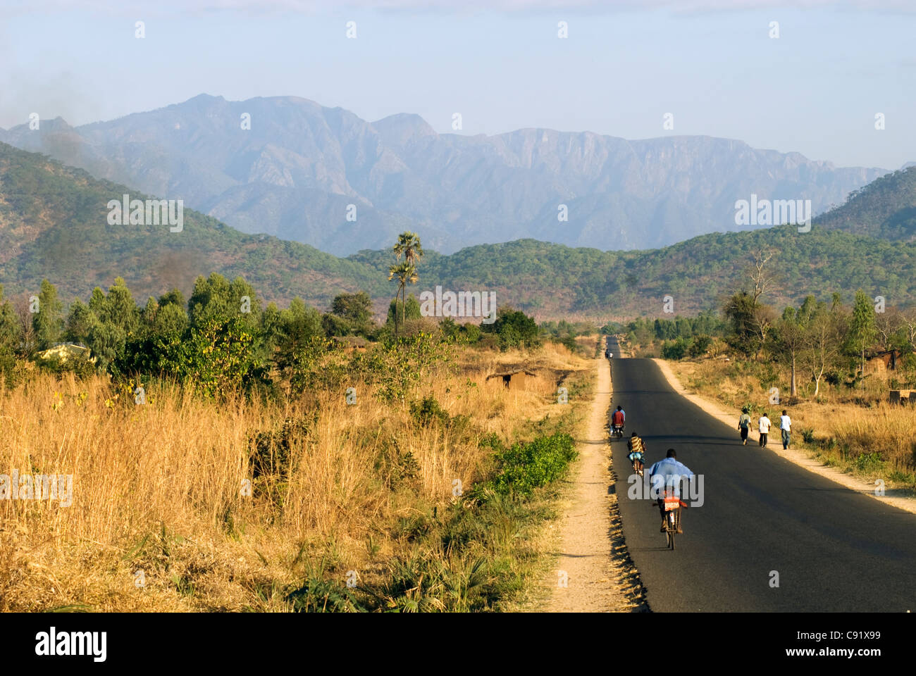 The Mulanje Massif rises out of the southern plains, and can be seen ...