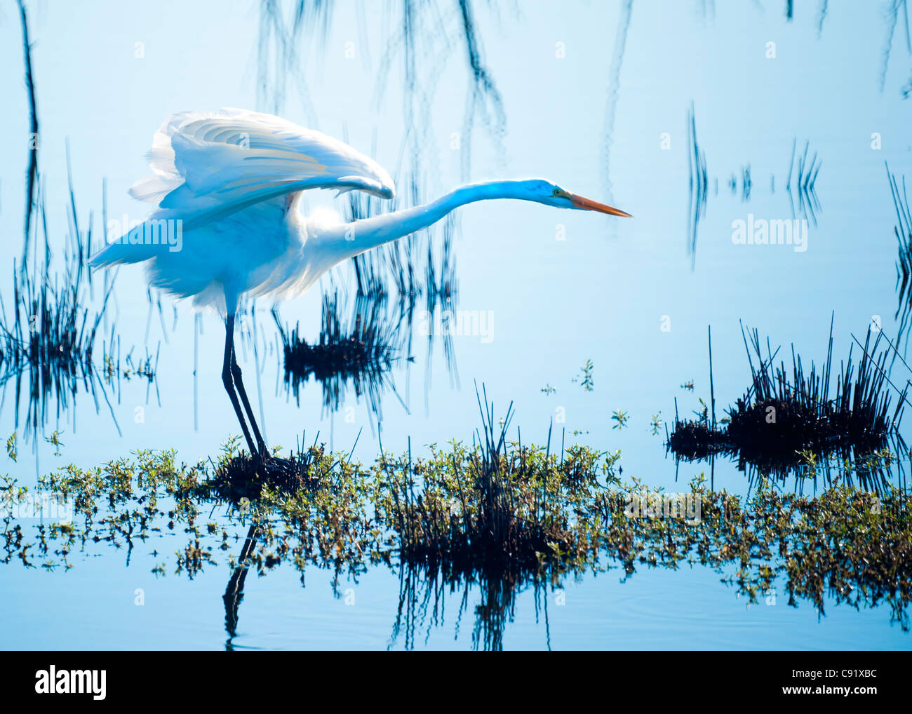 Landing marks hi-res stock photography and images - Alamy