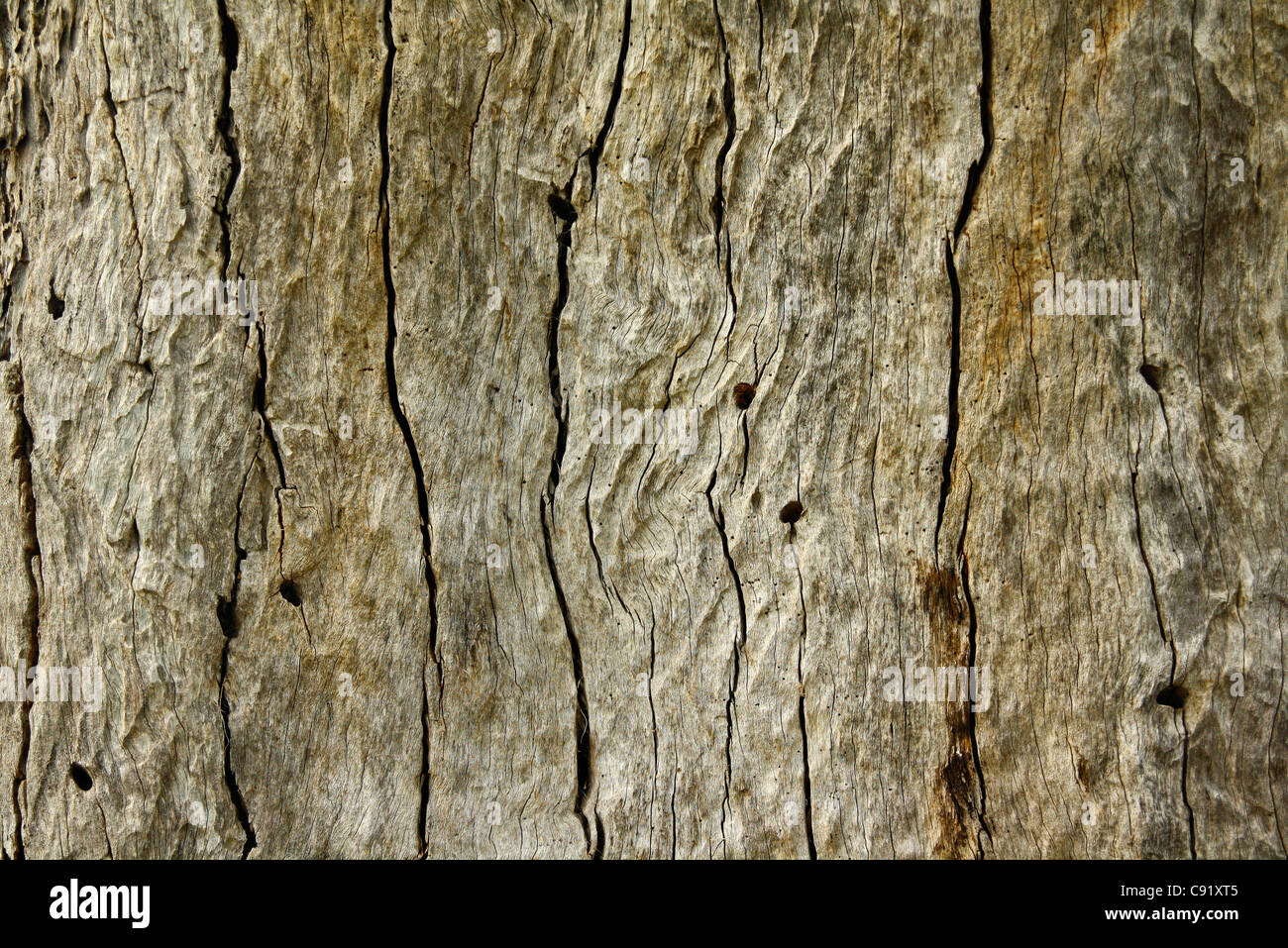 Aged wood texture Stock Photo - Alamy