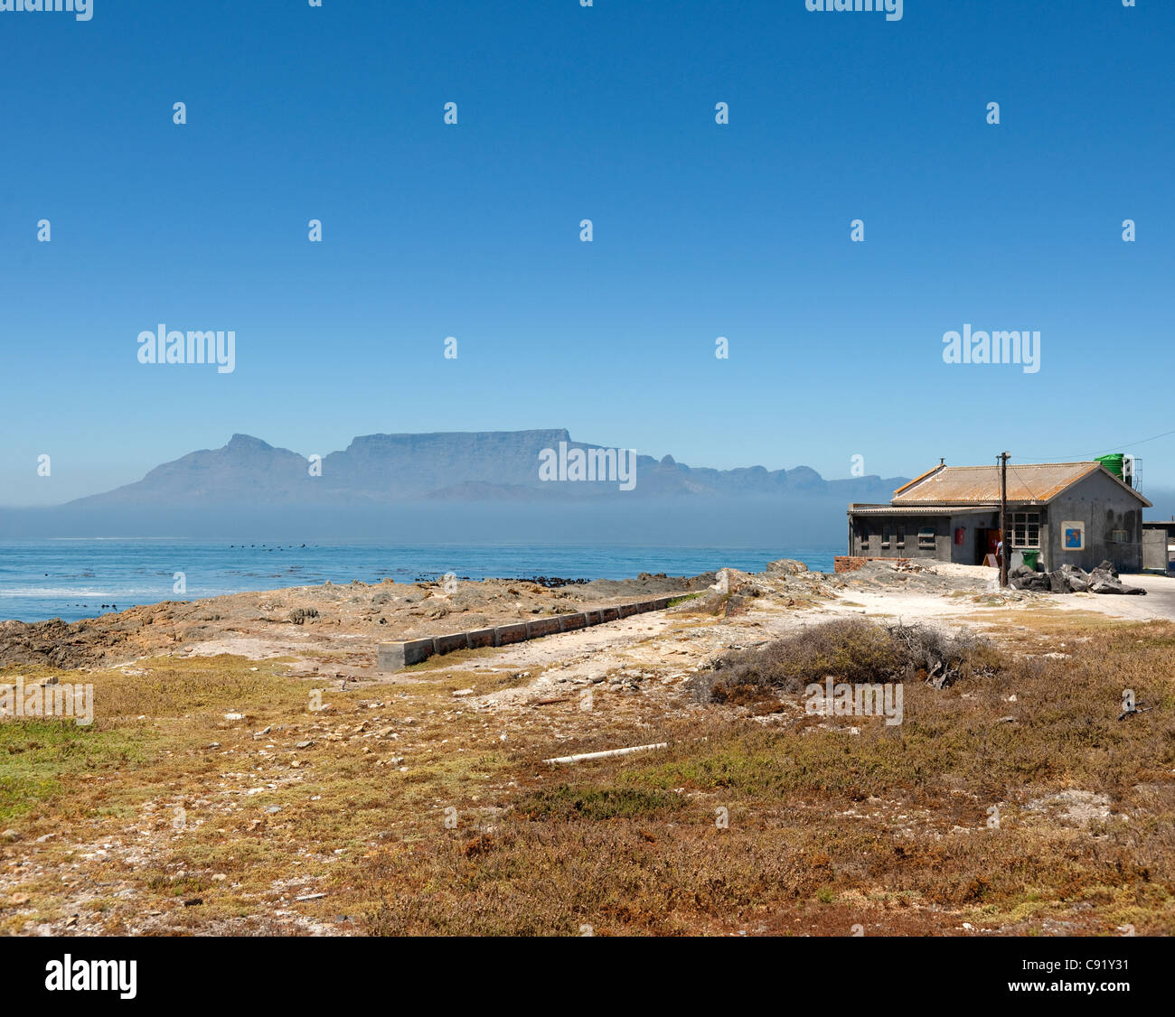 The view back to Cape Town and Table Mountain from Robben Island ...