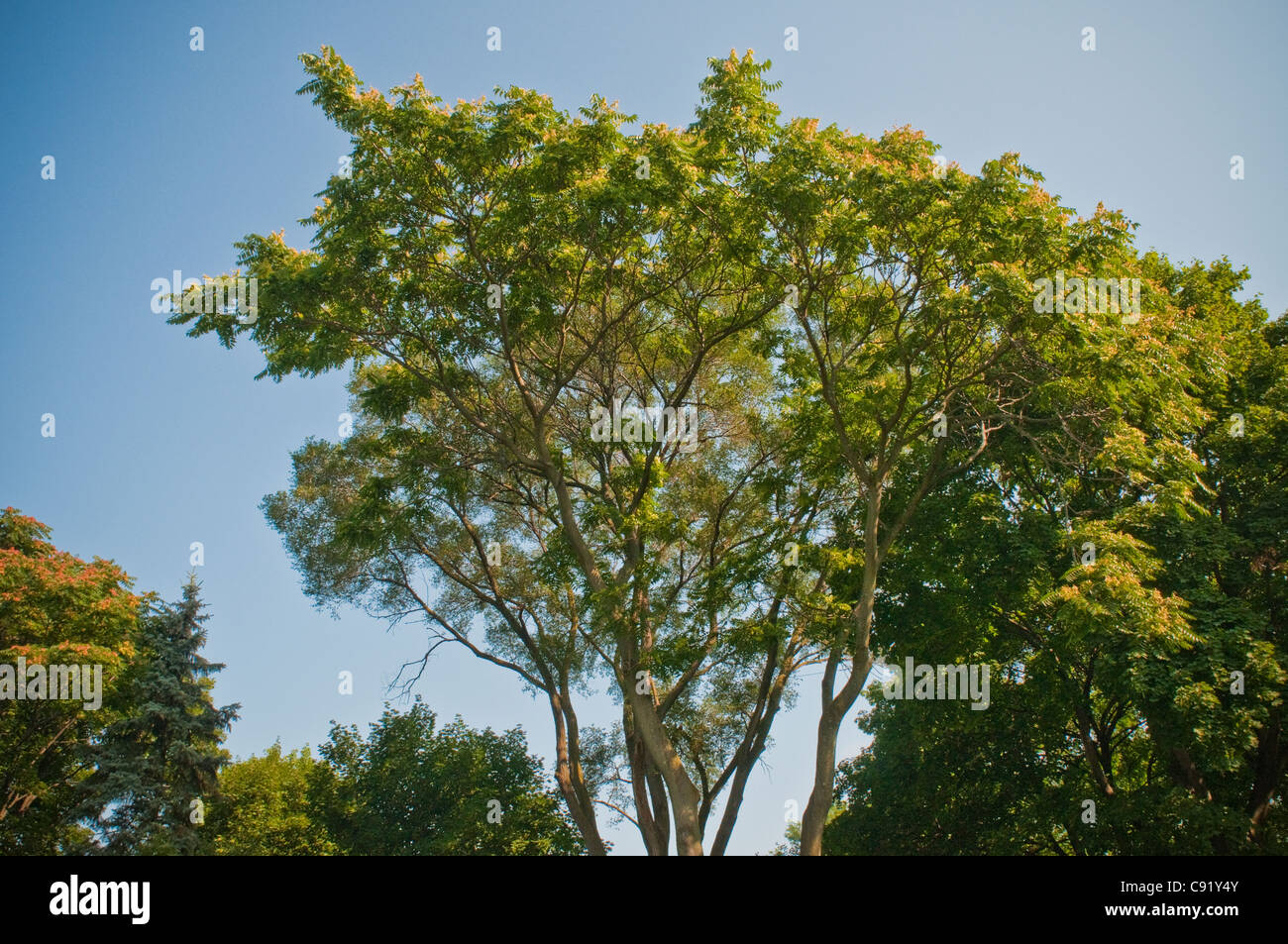 Marvelous natural landscapes hi-res stock photography and images - Alamy