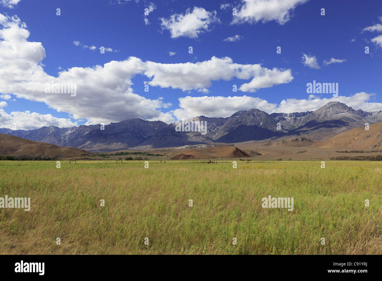 Grassy foothills of Sierra Nevada mountains in California Stock Photo ...