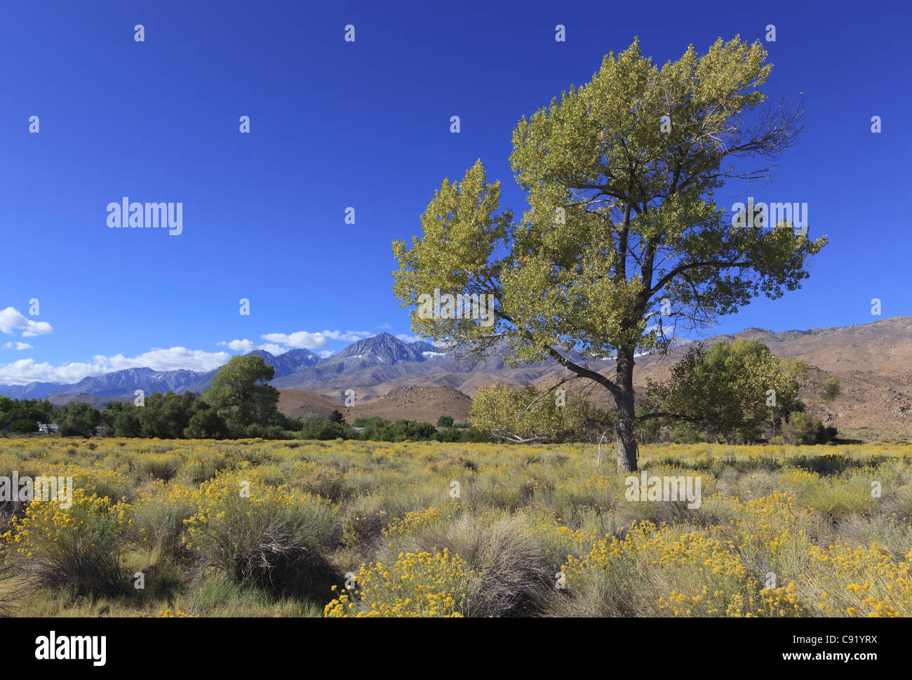 Foothills of Sierra Nevada mountains in California Stock Photo - Alamy