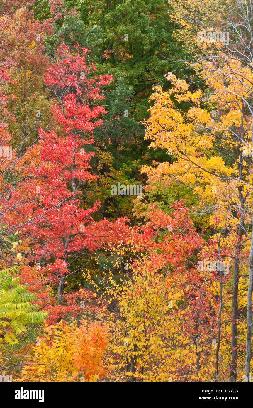 Land fall survey hi-res stock photography and images - Alamy