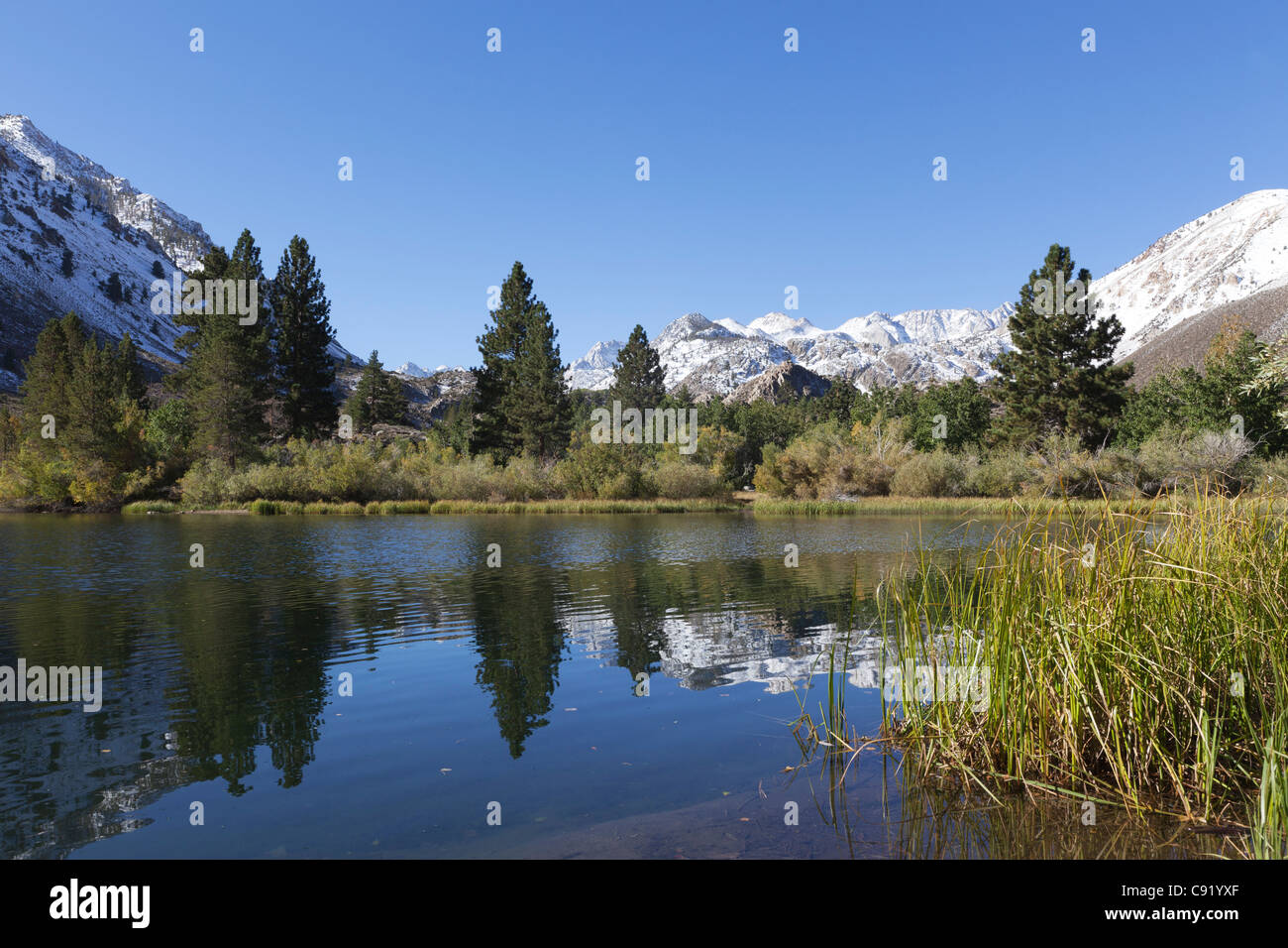 Morning reflections at an alpine lake in Sierra Nevada mountains ...