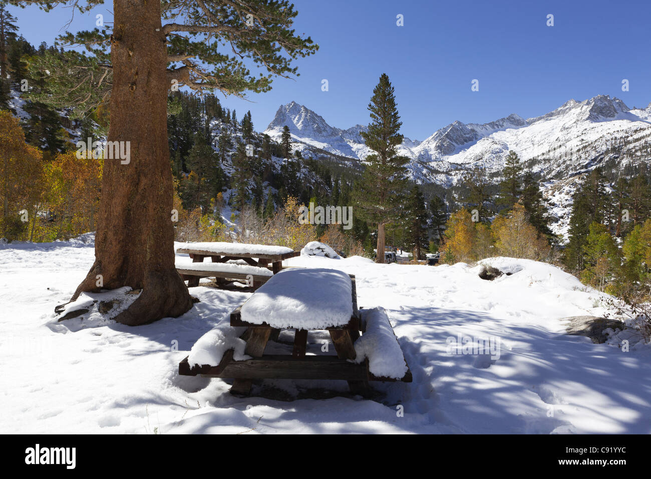 Picnic table covered in snow hi-res stock photography and images - Alamy