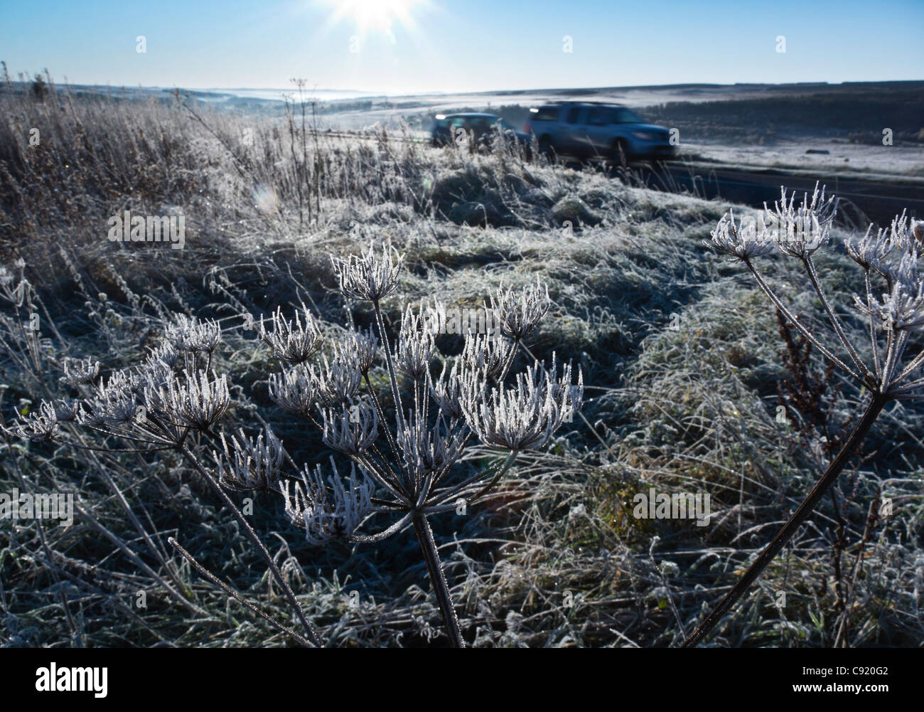 Redesdale in Northumberland, UK - a frosty morning in November, looking ...
