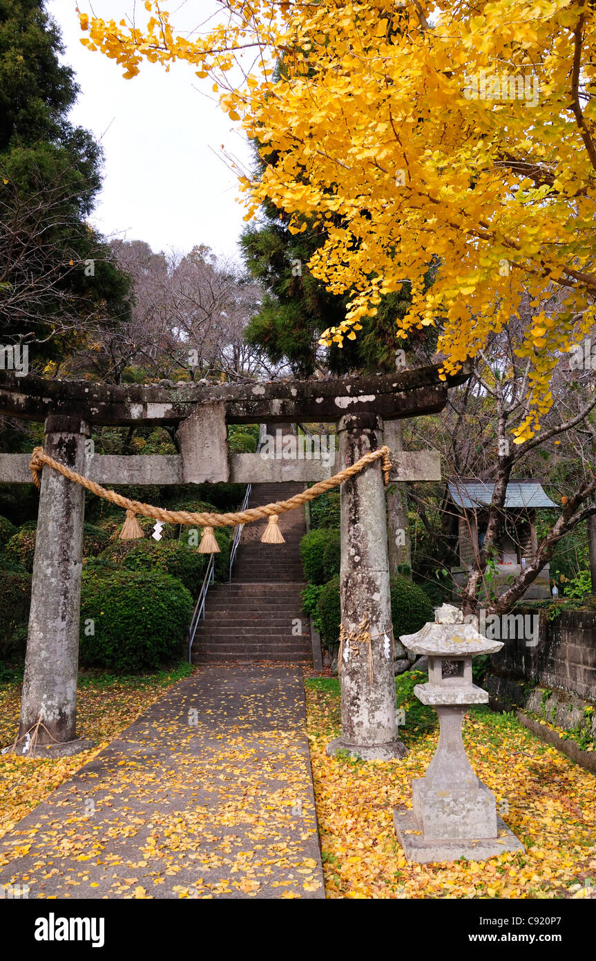 Shimenawa tree temple japan hi-res stock photography and images - Alamy