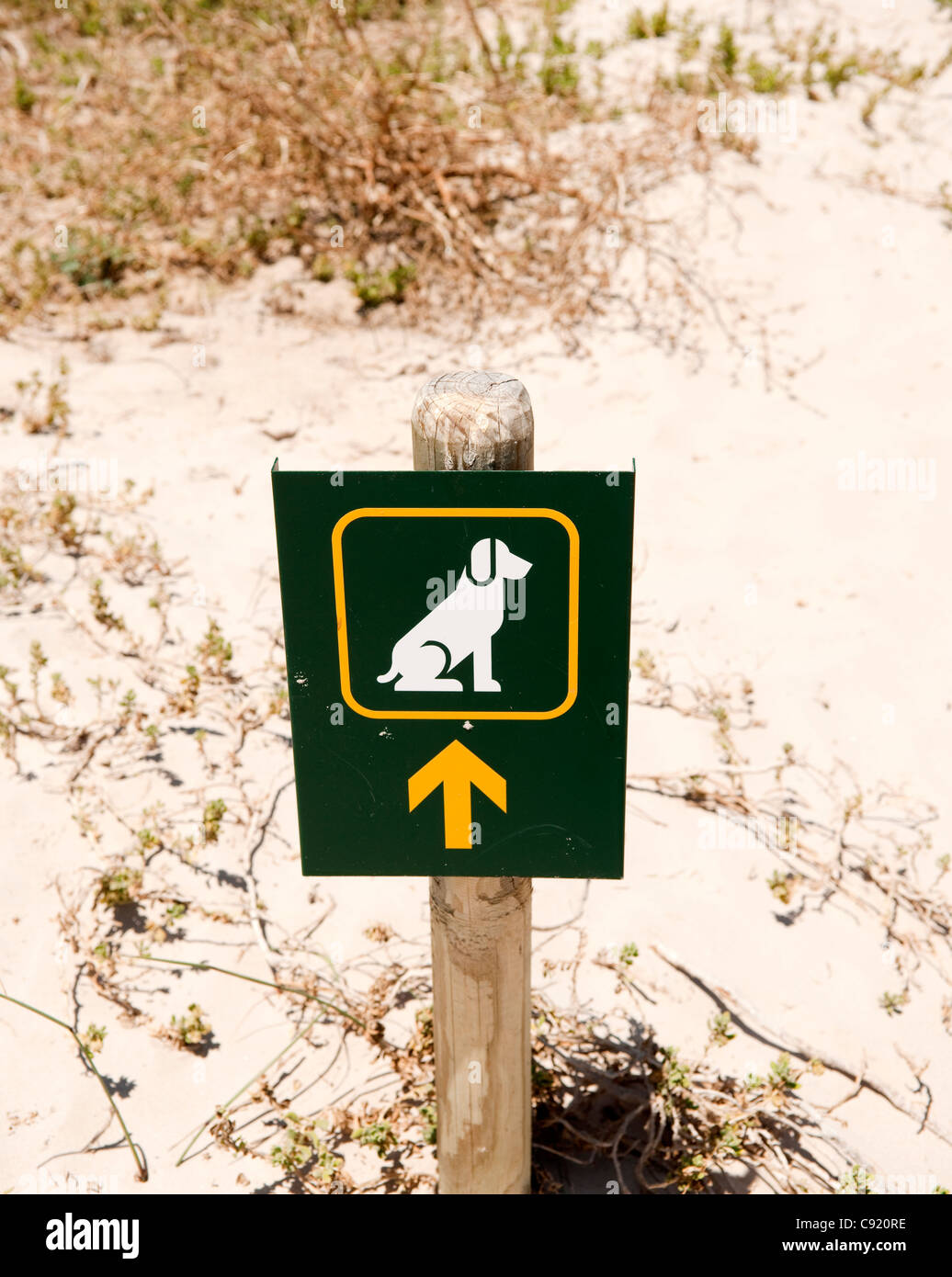 Pathway management is an important part of ecosystem and enviromental ...
