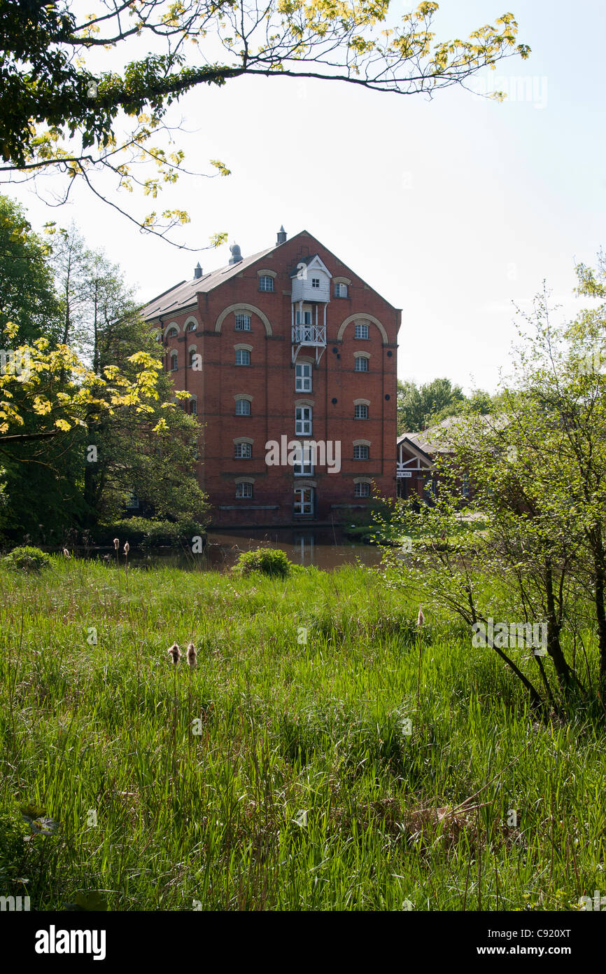 There are historic water mill buildings along the River Wey and the ...