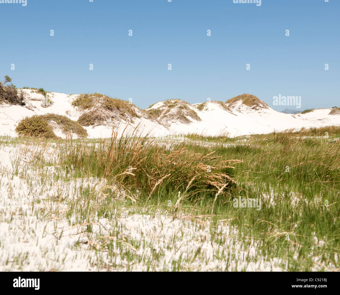 There are many delicate dune areas which are protected against ...