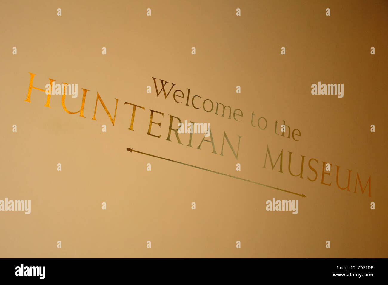 Hunterian museum welcome sign. City of Glasgow University, Scotland ...