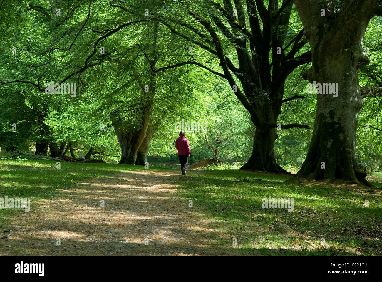 Mark ash wood hi-res stock photography and images - Alamy