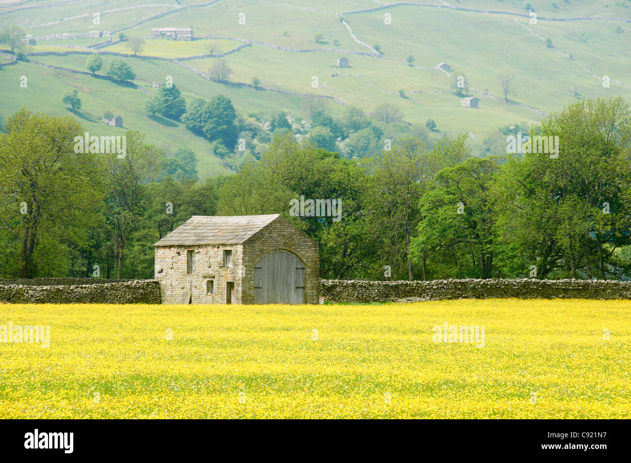 Areas of the Yorkshire Dales, particularly Swaledale, have well ...