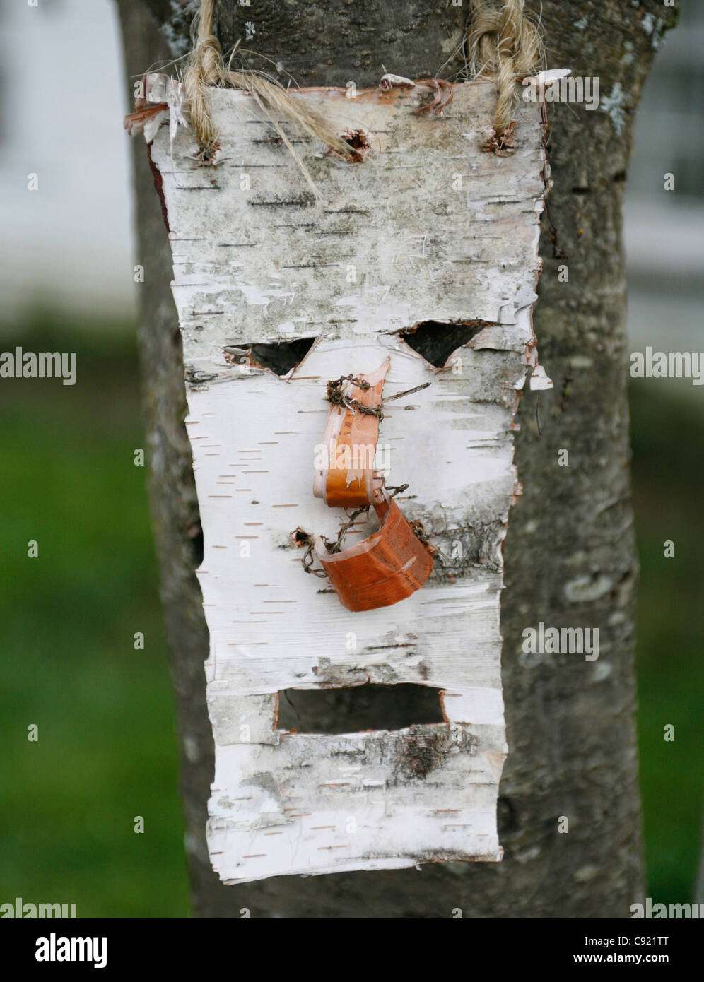 birch bark tree face Stock Photo - Alamy