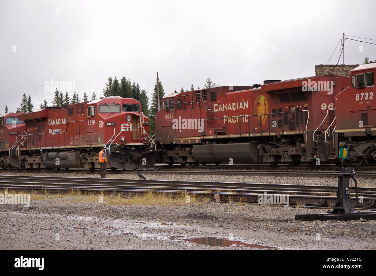 The Canadian Pacific railroad carries large freight trains across the challenging terrain of the ...