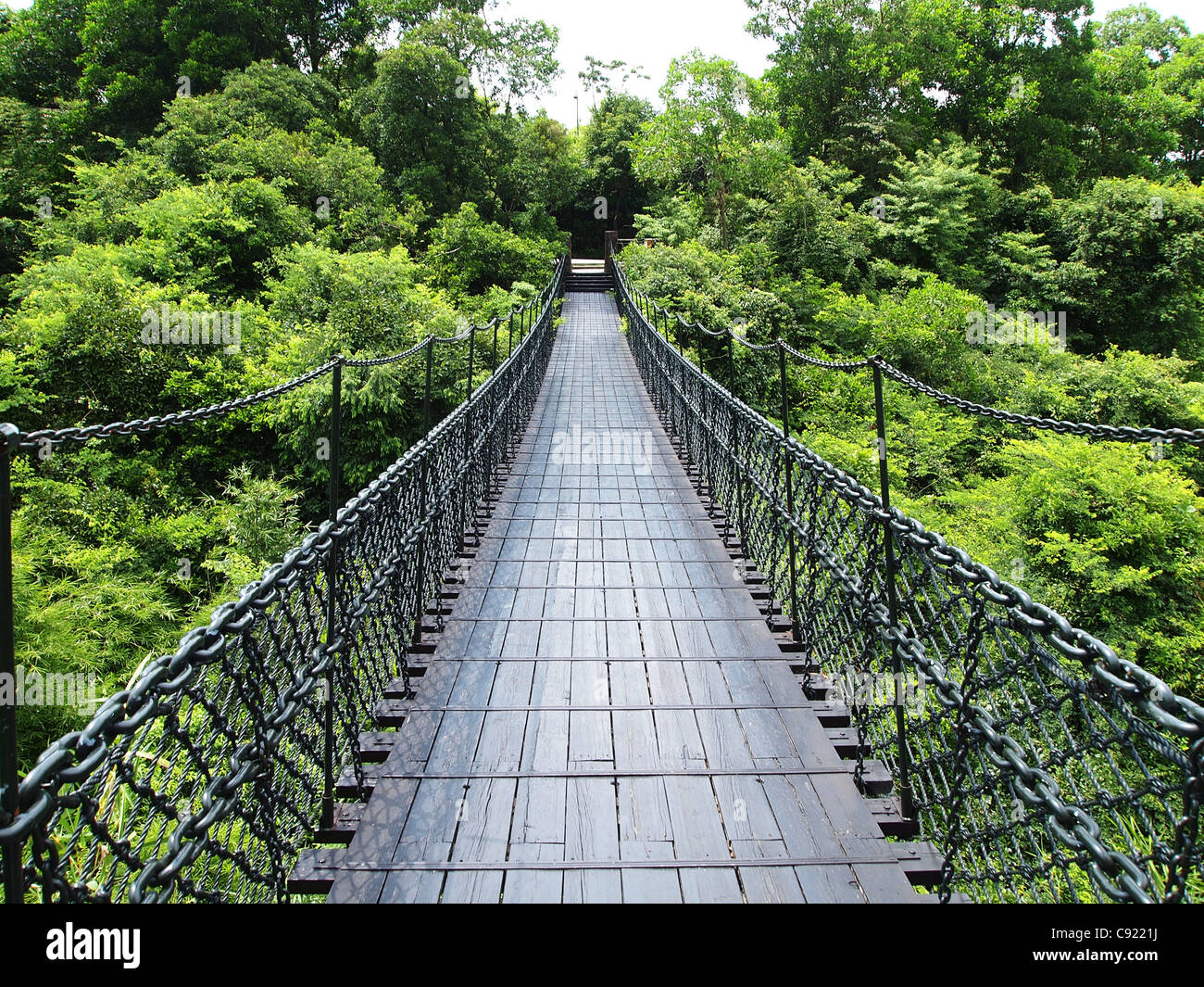 Bridge of wood and iron hi-res stock photography and images - Alamy