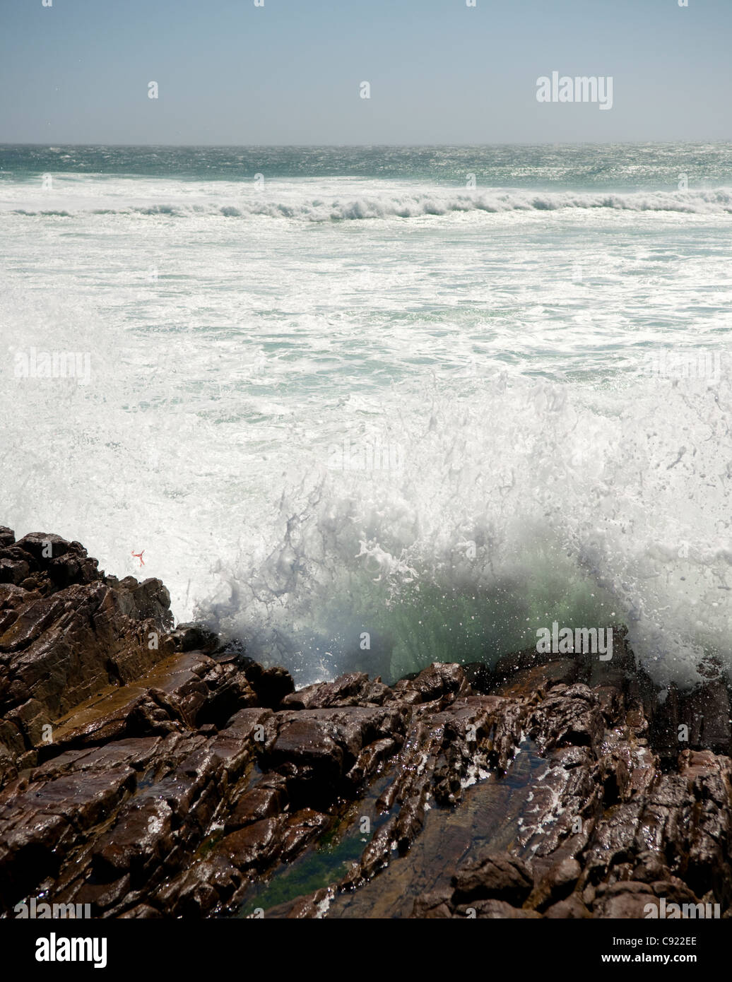 At the tip of the Cape Peninsula is Cape Point which is located within ...