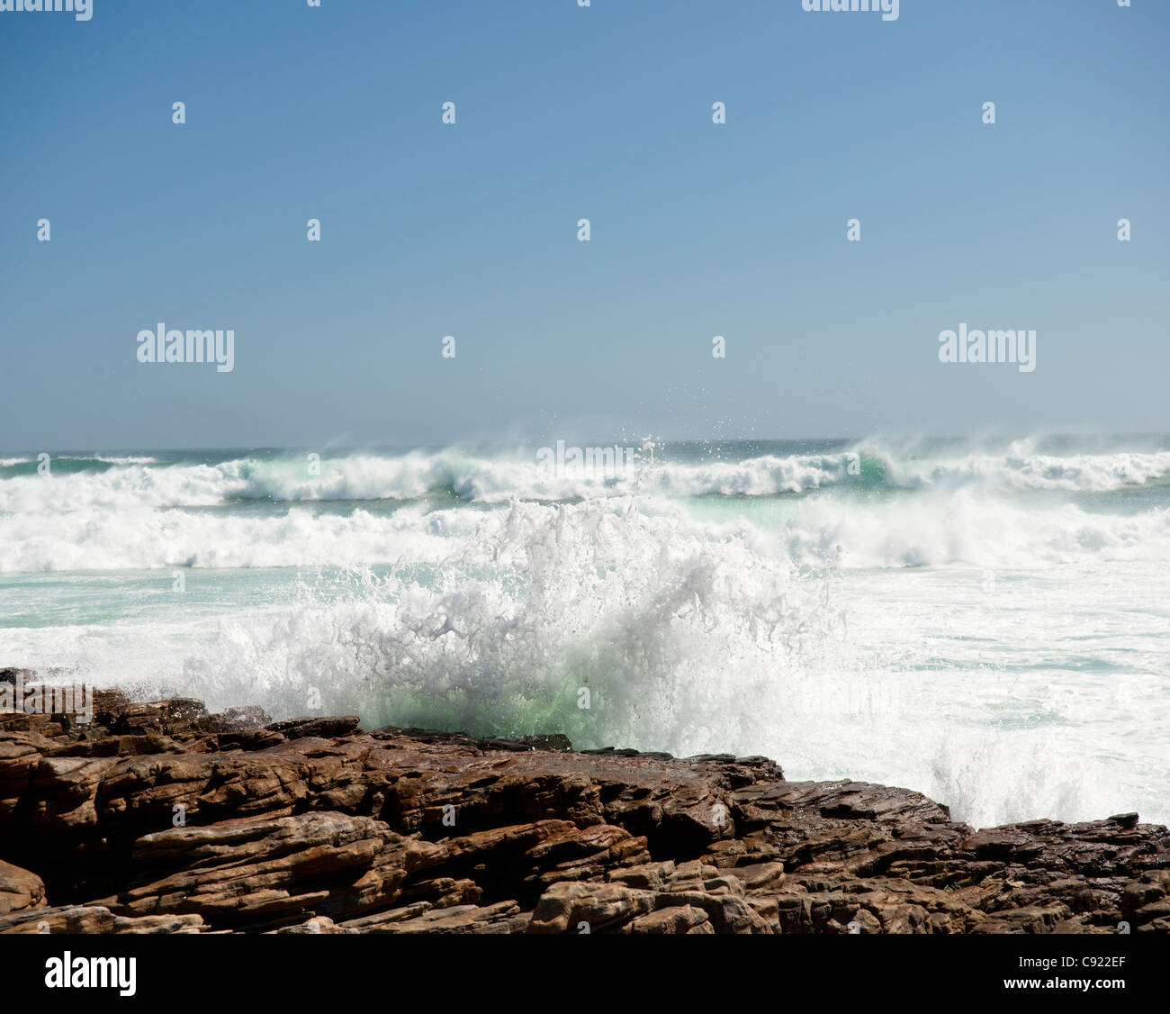 At the tip of the Cape Peninsula is Cape Point which is located within ...