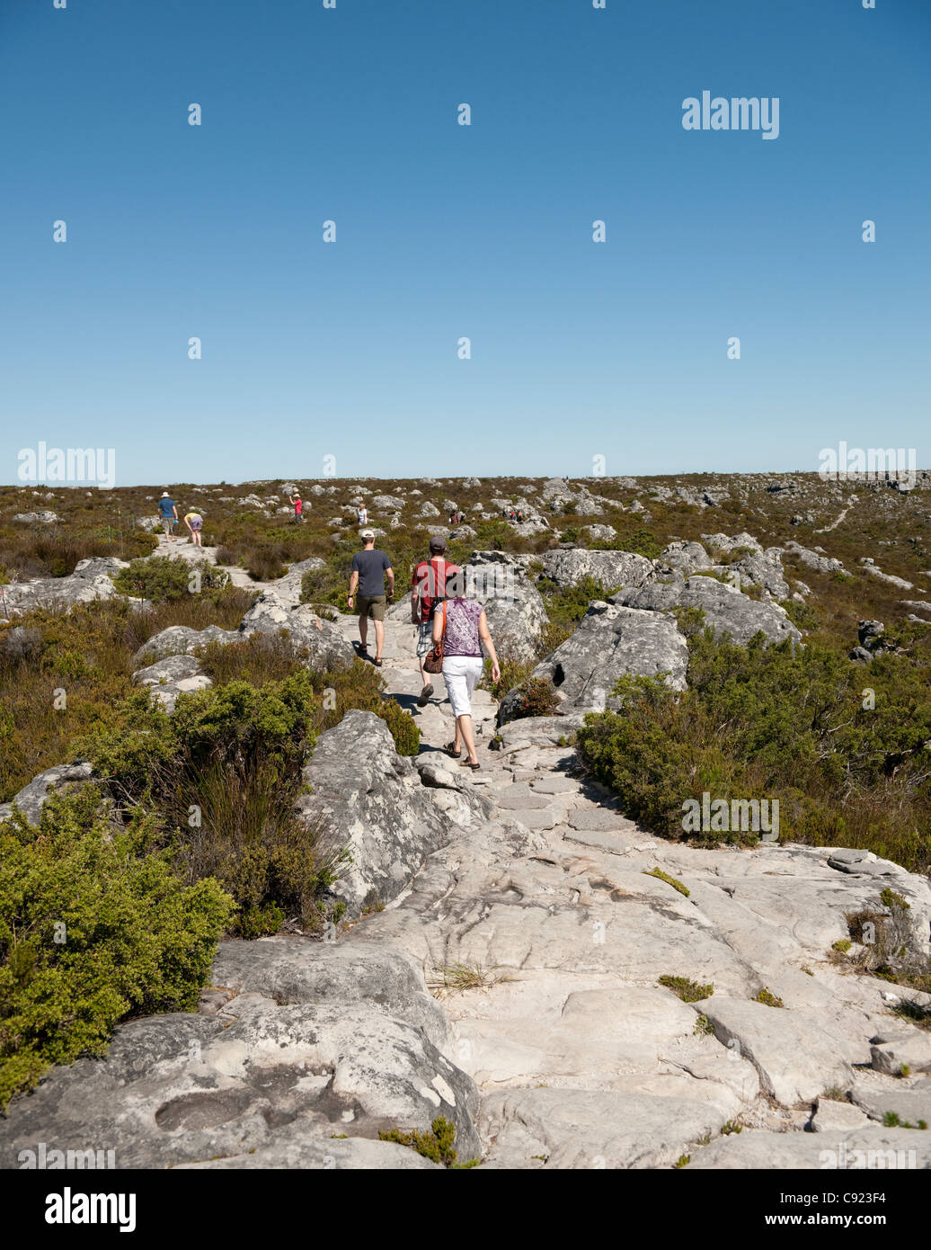 Back of table mountain hi-res stock photography and images - Alamy