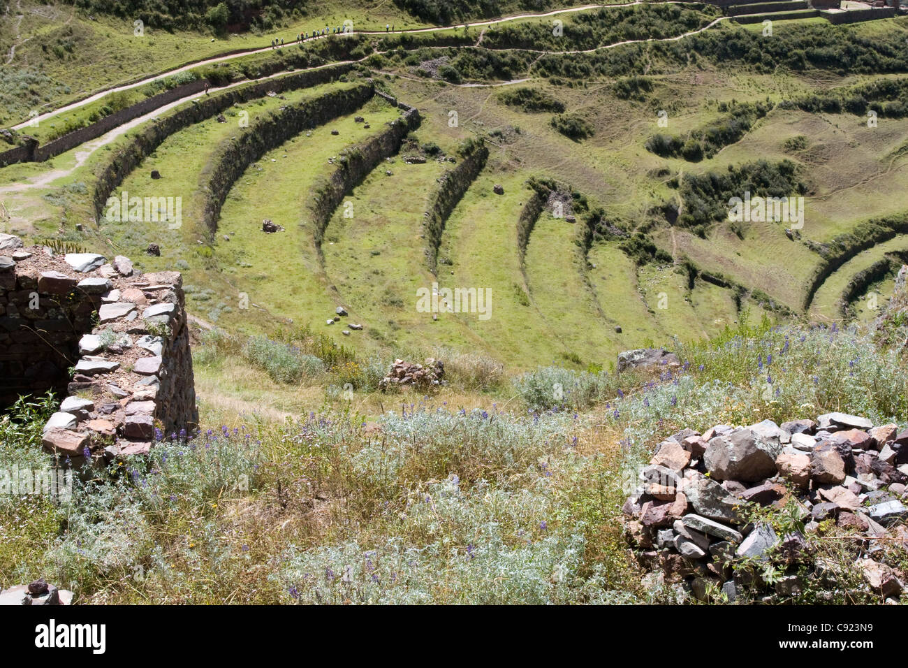 The Inca constructed agricultural terraces on the steep hillside which ...