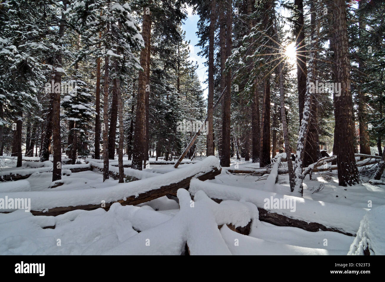 Lakes village hi-res stock photography and images - Alamy