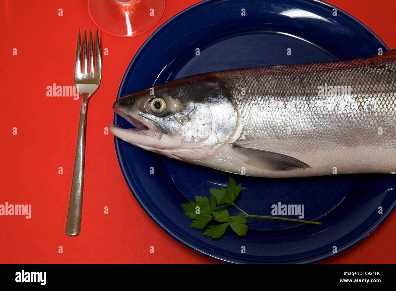 Fresh, wild Alaskan sockeye (red) salmon shown on a dinner plate with ...