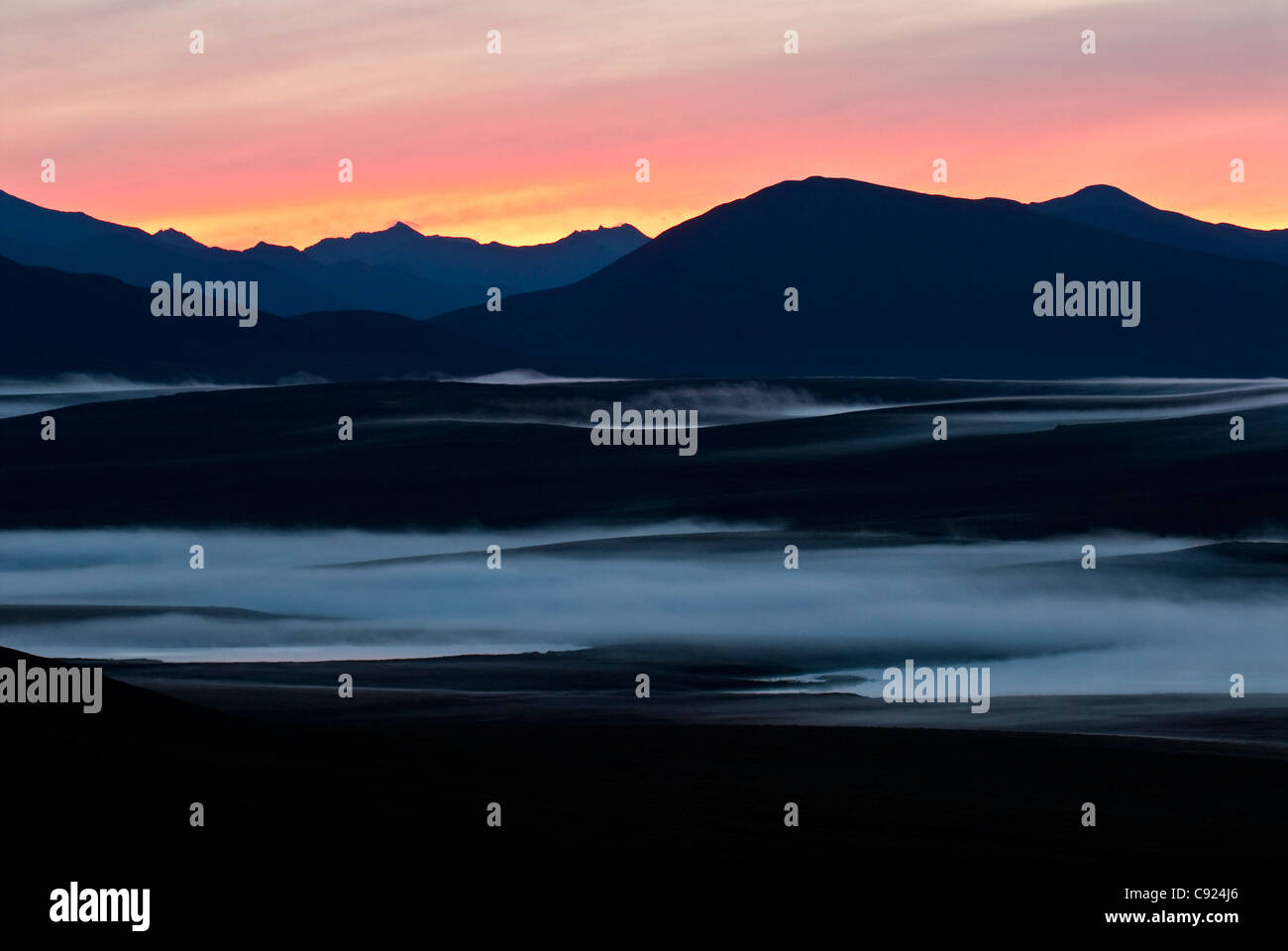 Nigu hi-res stock photography and images - Alamy