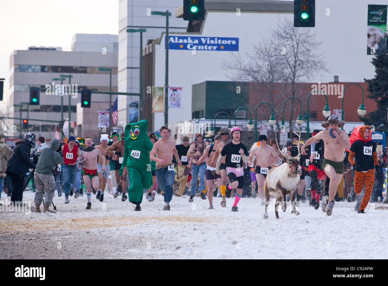 Running of the Reindeer during the 2011 Fur Rondy festival on 4th ...