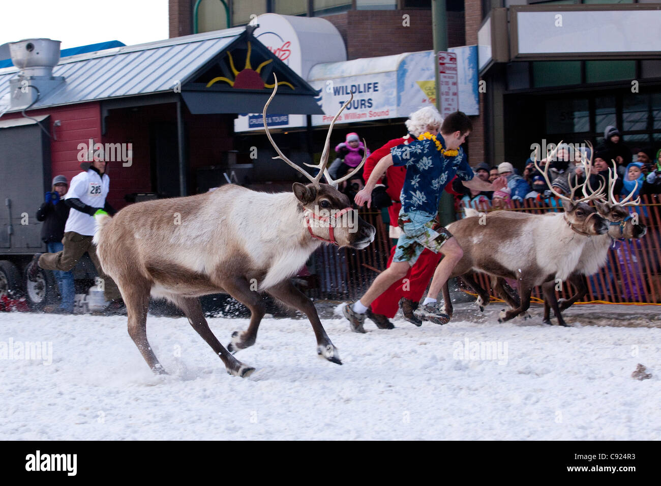 Fur Rendezvous Rondy Anchorage Alaska Stock Photos & Fur Rendezvous ...