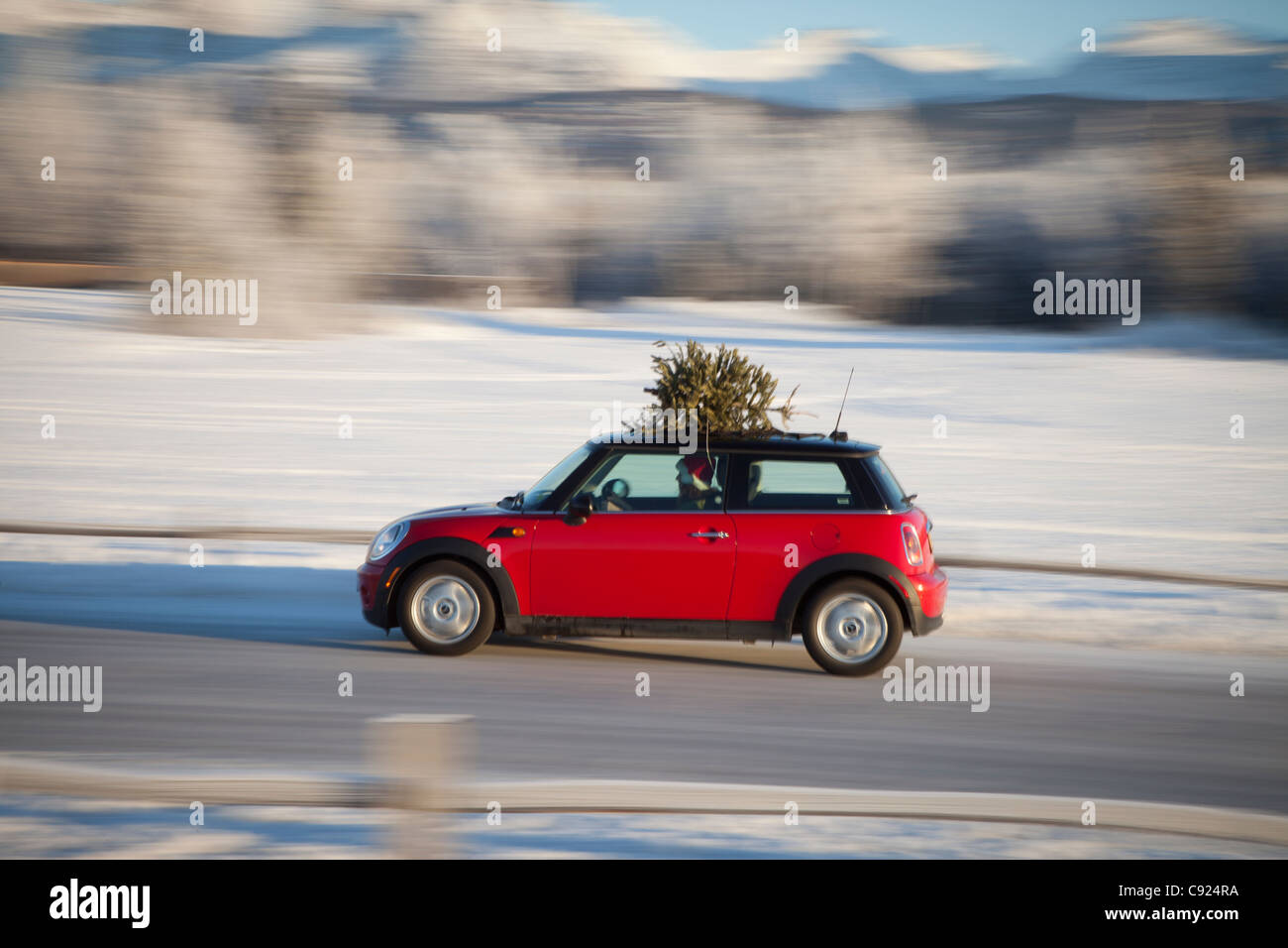 X Mass Tree High Resolution Stock Photography and Images - Alamy