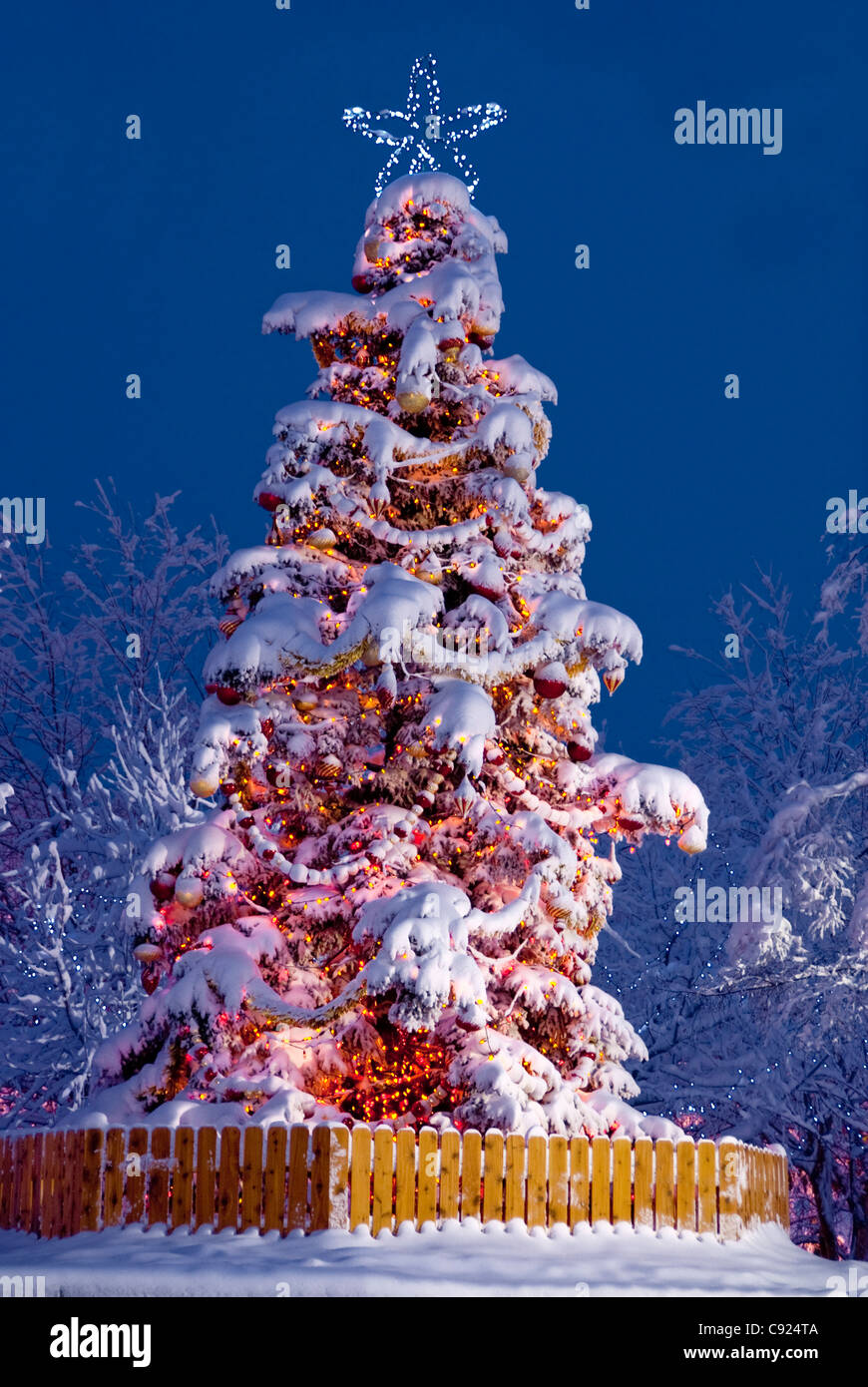 Town square, usa, tree hi-res stock photography and images - Alamy