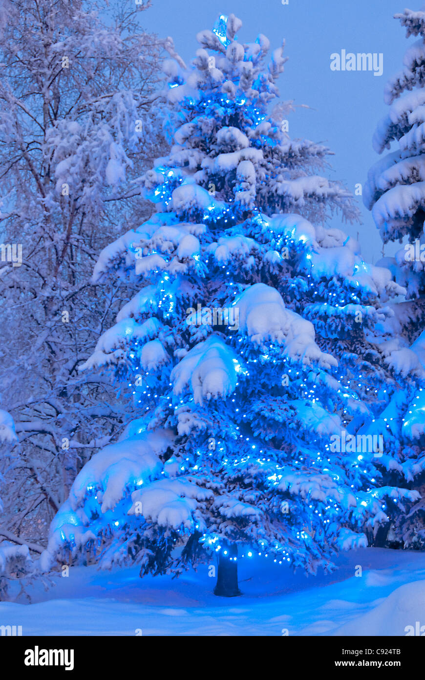 View of a tree decorated with blue lights in Anchorage Town Square ...