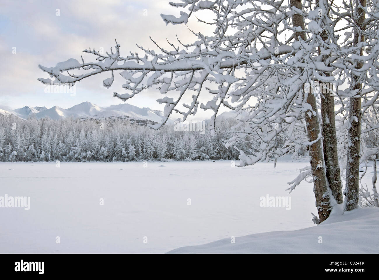 Alaskan Winter Desktop Backgrounds