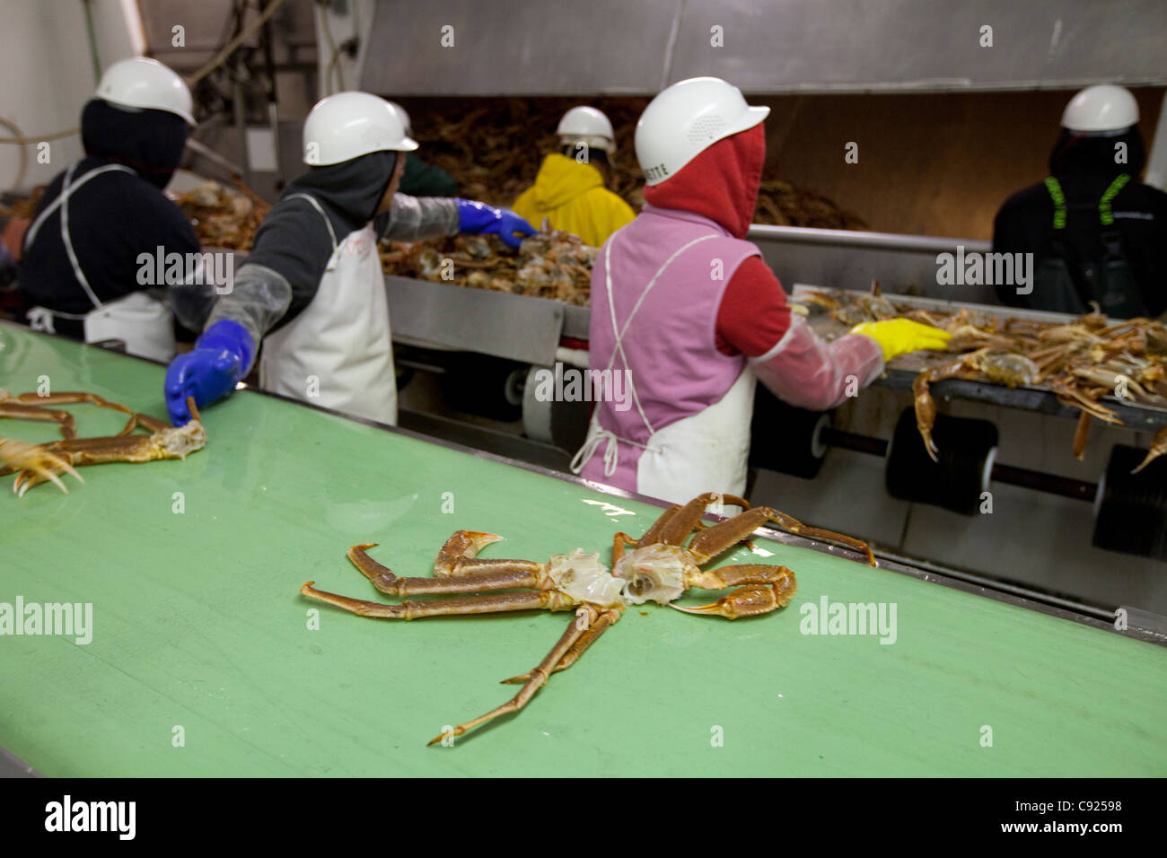Cannery workers process Tanner Crab on the slime line at Alaska Fresh ...