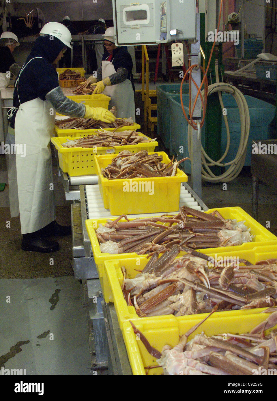 Weighing, sorting, moving and conducting quality control checks on ...