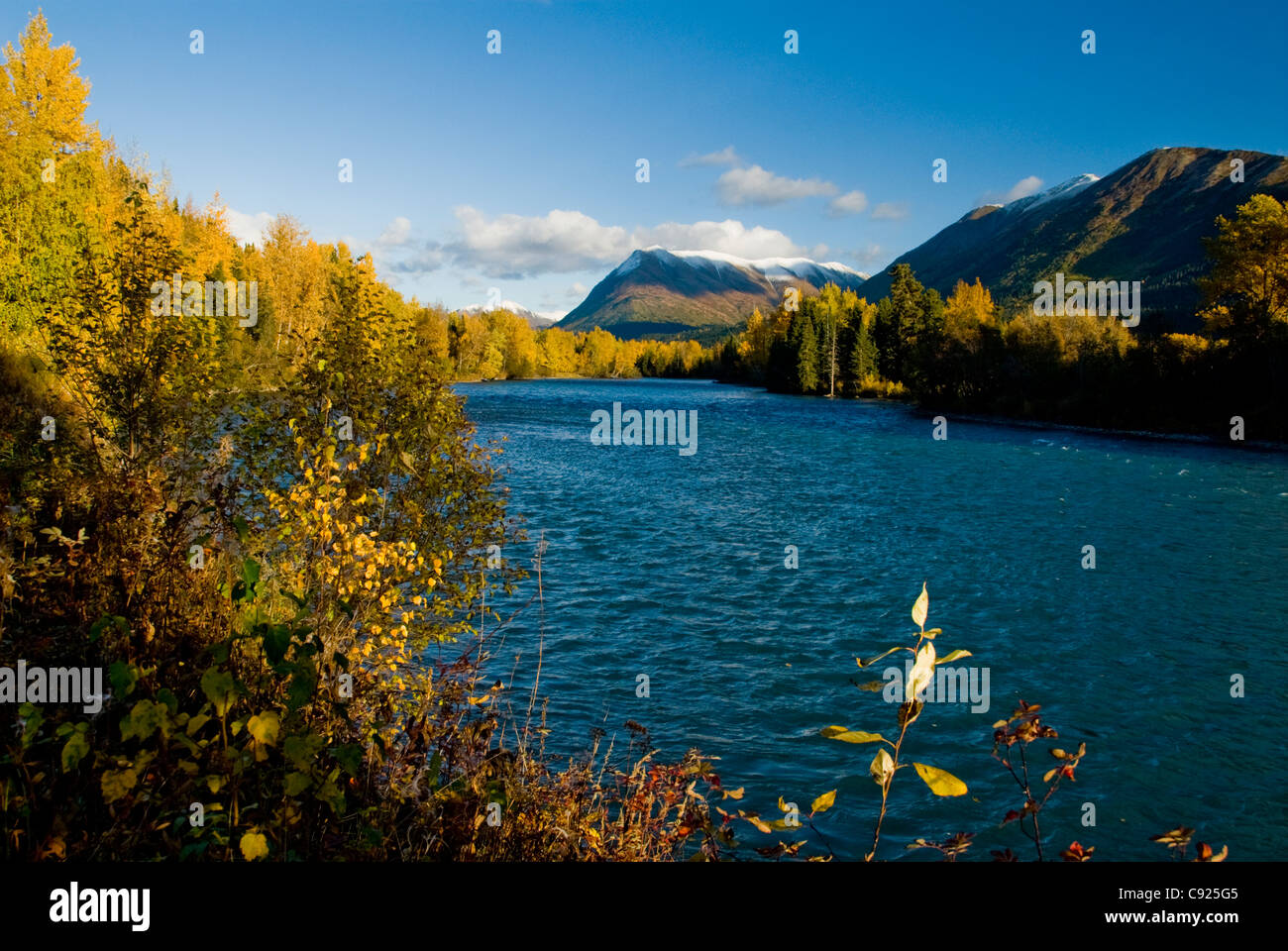 A view of the Kenai River and the Kenai Mountains with foliage, Chugach ...