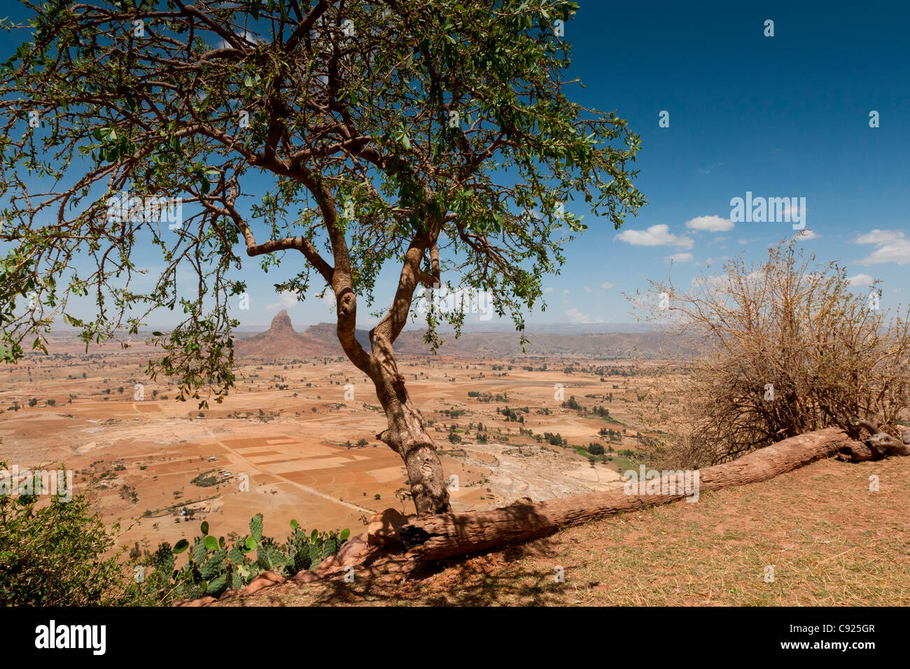 Spectacular panoramic views from the rock-hewn church of Debre Tsion ...