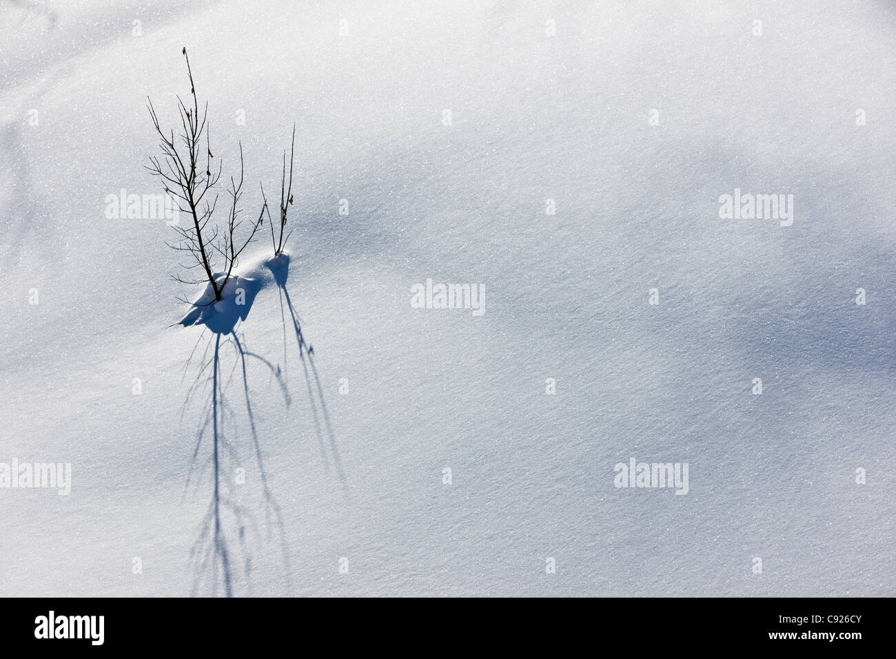 Poking up hi-res stock photography and images - Alamy