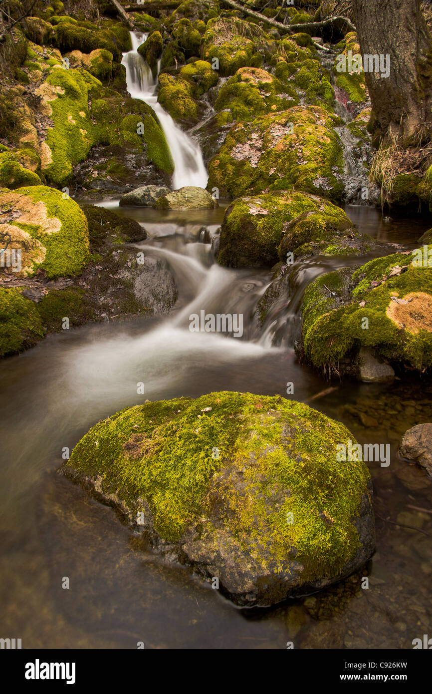 Boulder Creek Falls High Resolution Stock Photography and Images - Alamy
