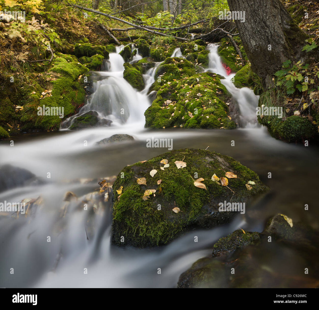 Boulder Creek Falls High Resolution Stock Photography and Images - Alamy