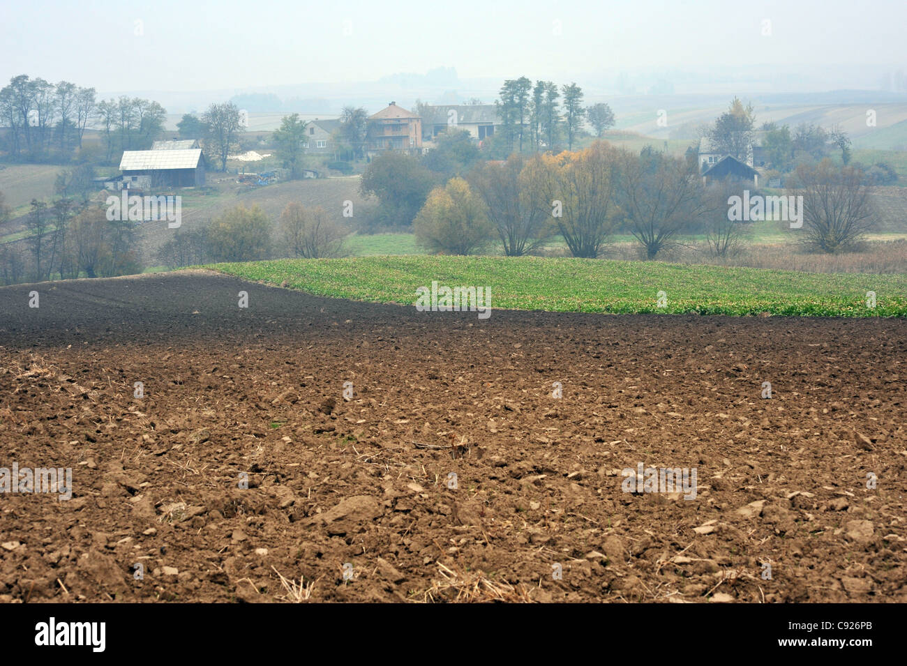 Europe, Poland, Ponidzie, Swietokrzyskie Mountains, classical rural ...