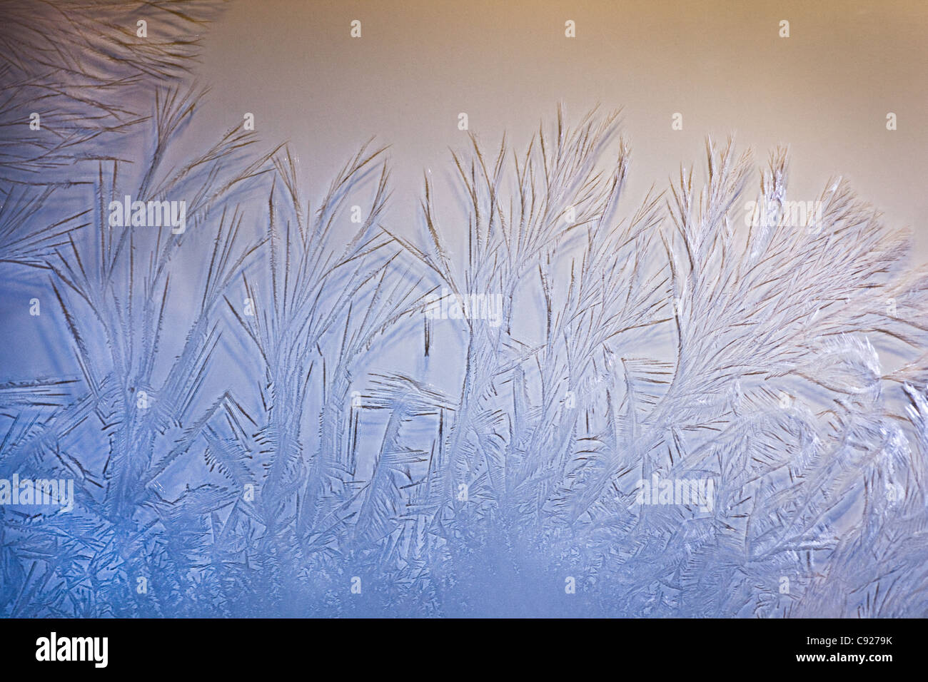 Macro view of frost tendrils built up between panes of window glass ...