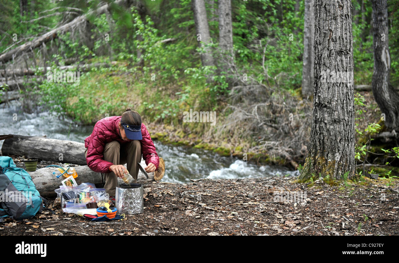 Resurrection pass trail kenai peninsula hi-res stock photography and ...