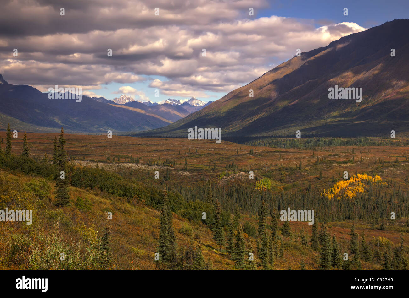 View of the Alaska Range from above Rainy Pass Lodge near Puntilla Lake ...